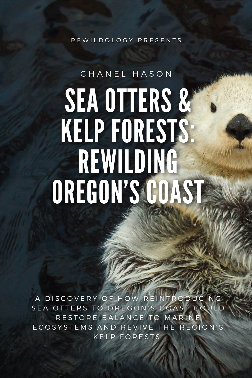 Sea Otters & Kelp Forests: Elakha Interviewed on Rewildology Podcast ...